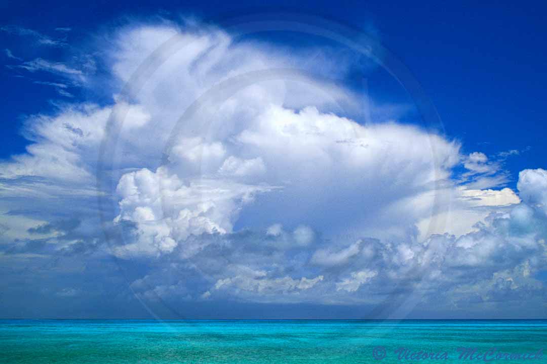 Angelic Essence | Victoria McCormick