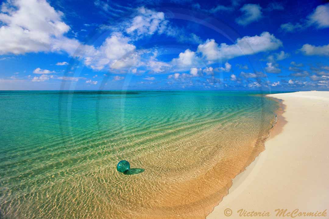 Distant Shores | Victoria McCormick