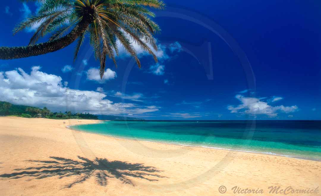 Sunset Beach Summer | Victoria McCormick